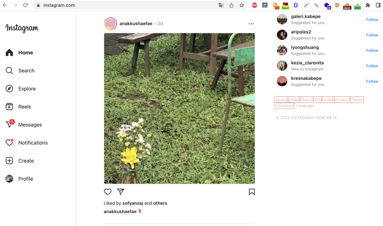 Apa Itu Instagram Web Dan Cara Menggunakan Instagram Web